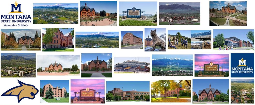 Montana State University (MSU) History | Largest University in MT