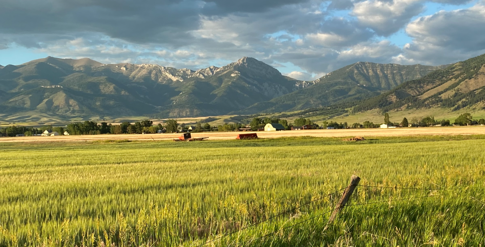 Gallatin County Montana Real Estate Market Update